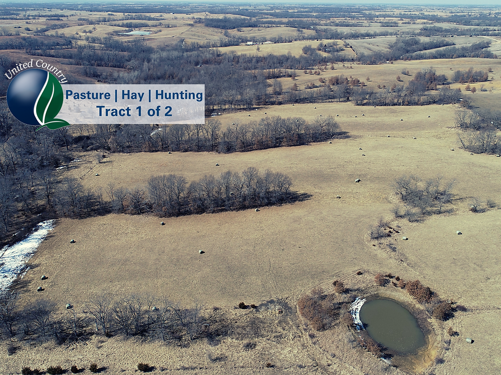 SOLD 146+/- Acres, Pasture, Hay, & Premier Hunting Tract 1 of 2