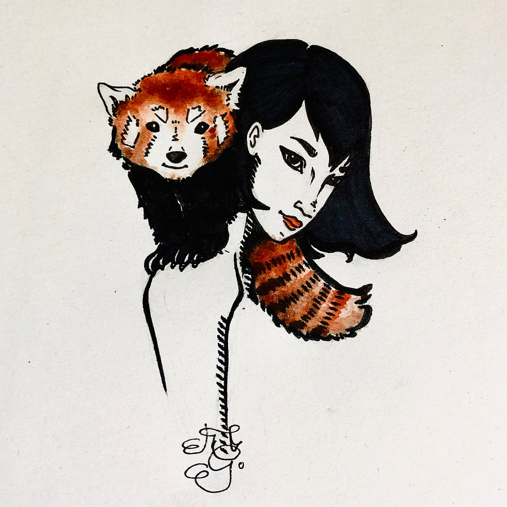 Illustration Friday: Red Panda