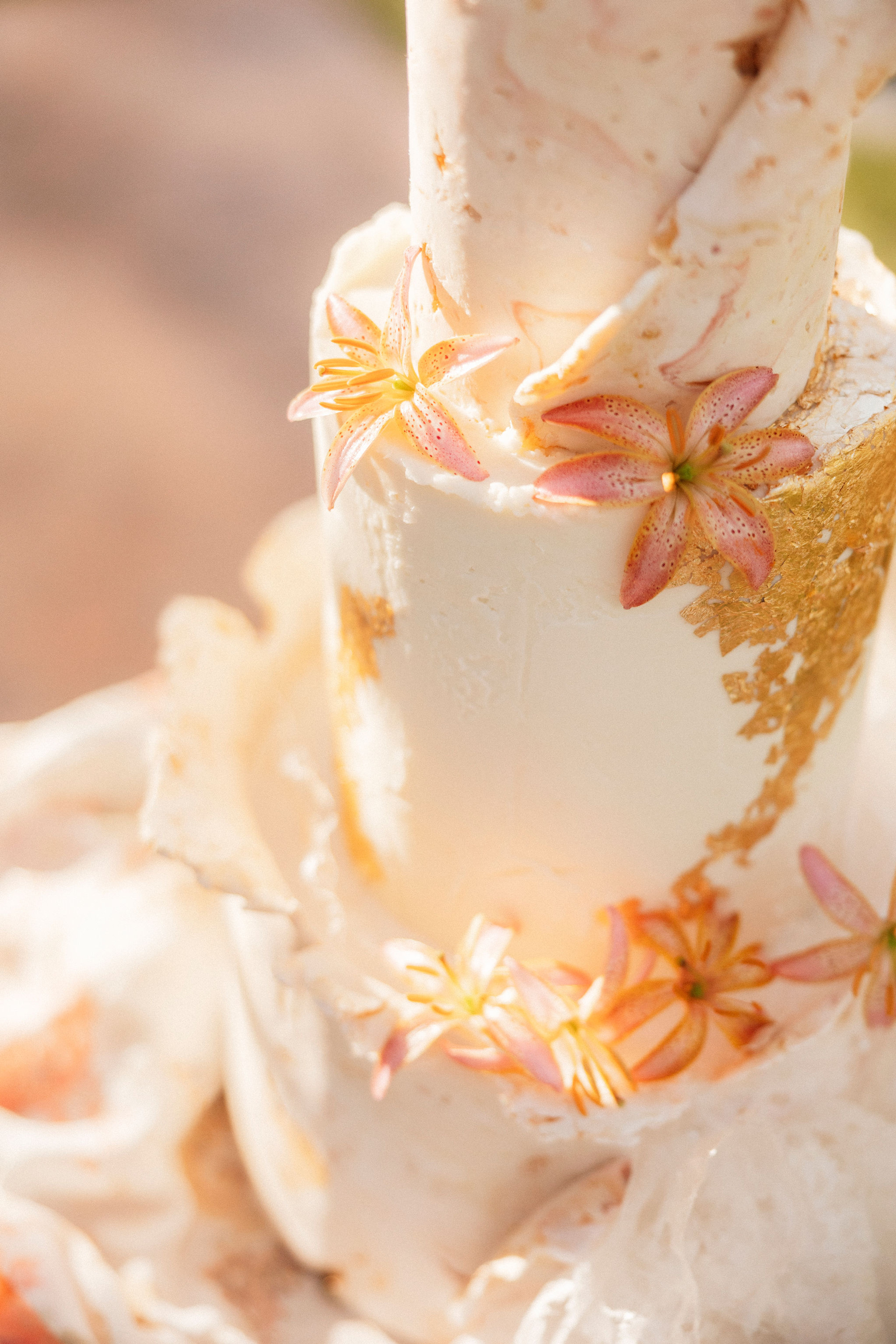 Artcake MT | Best Custom Cakes Missoula, MT
