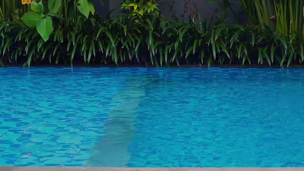 Premier Pool Construction & Landscape | Billabong Pool Co