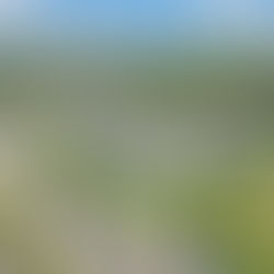 Home | Archstone Capital