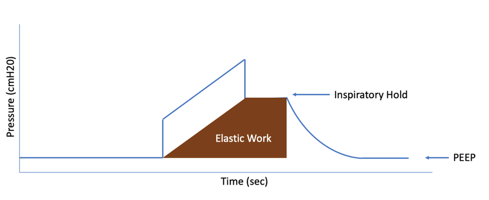 Equation of Motion: How we get air into our lungs