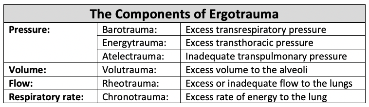 Ergotrauma and 3 New Ventilator Induced Lung Injuries