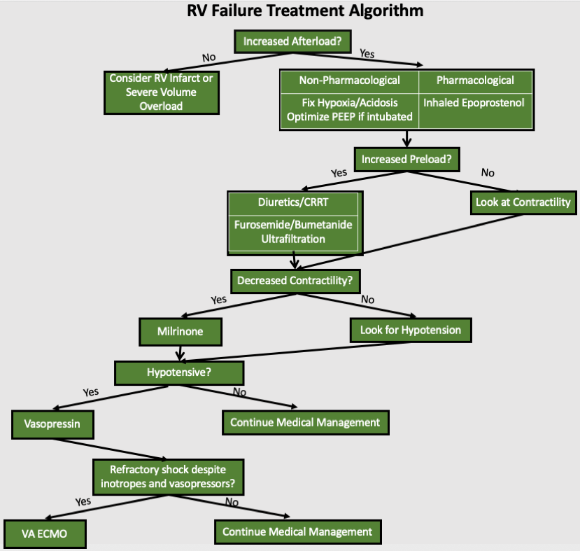 Right Heart Failure: Understanding the hemodynamics - Part 4: Treating ...