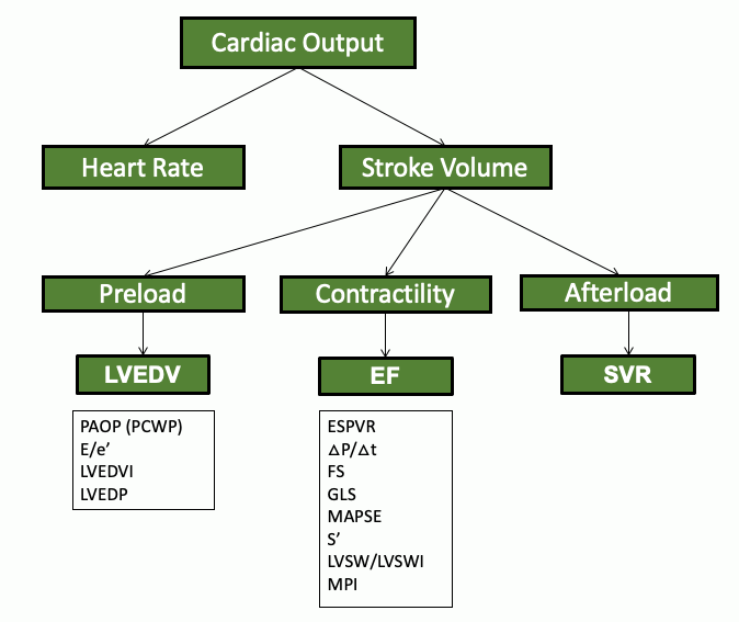 Left Heart Failure: Understanding the hemodynamics Part 3a: Simplifying ...