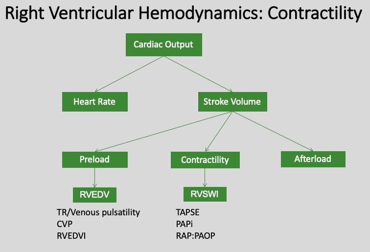 Right Heart Failure: Understanding the hemodynamics - Part 3: Afterload