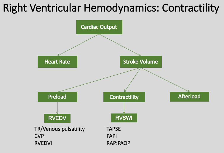 Right Heart Failure: Understanding the hemodynamics - Part 2: Contractility