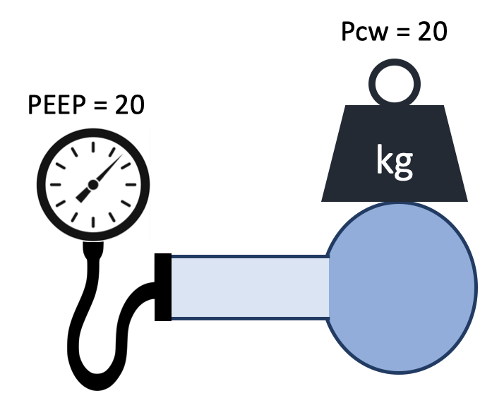 Transpulmonary Pressure: Time to individualize the ventilator.