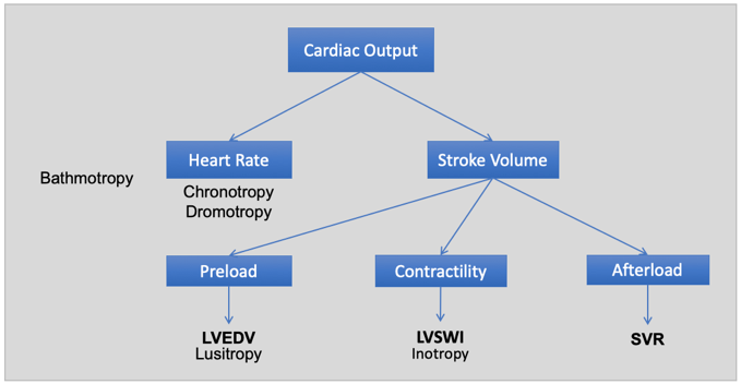 The Five -tropies of the Heart