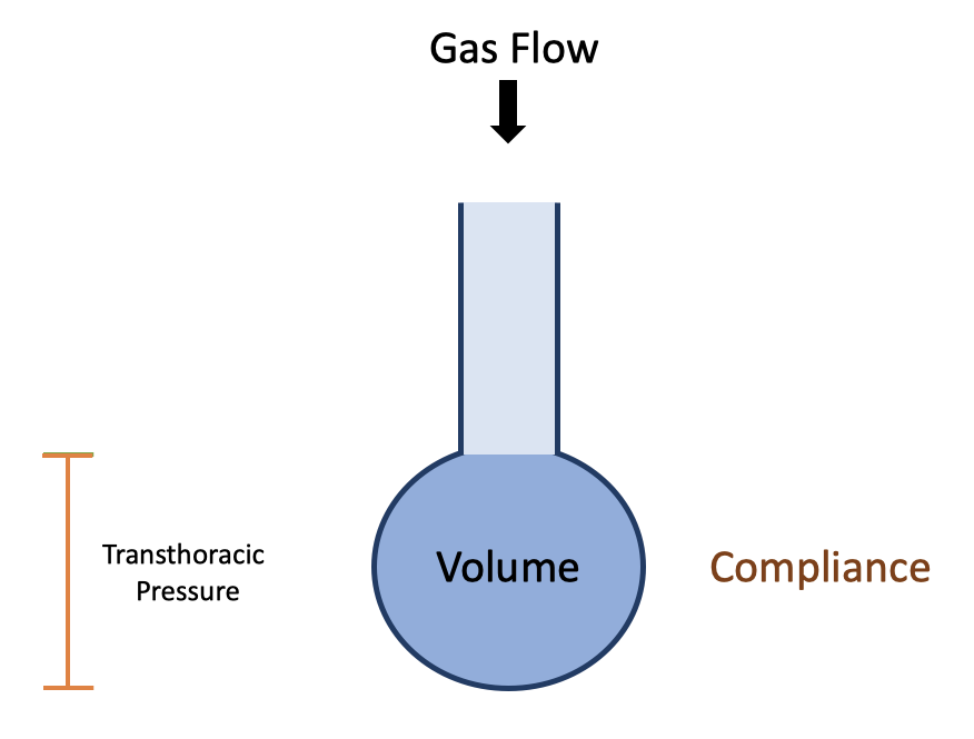 Equation of Motion: How we get air into our lungs