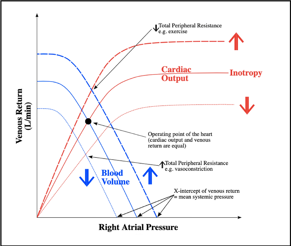 Mean Systemic Filling Pressure: Optimizing Venous Return