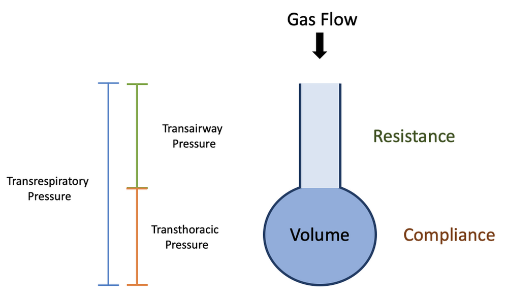 Equation of Motion: How we get air into our lungs