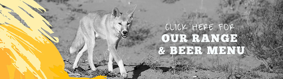 Beer | Dingo Brewery | Australia