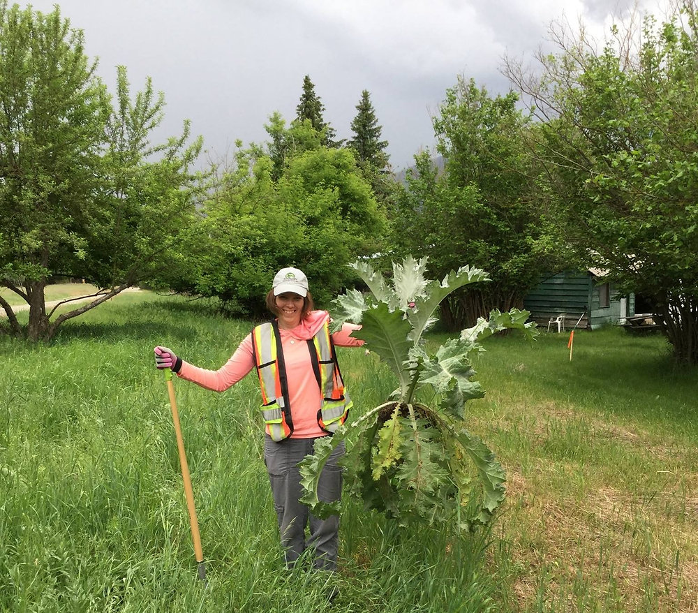 Manual Methods to Control Invasive Plants