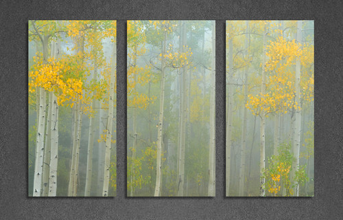 Aspen Mist Triptych | Tony Newlin