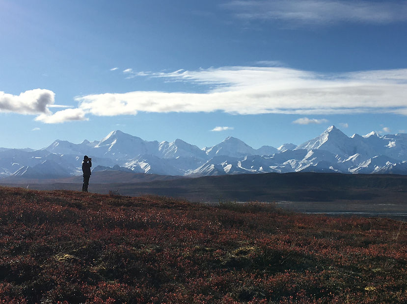 Tony Newlin Home | Tony Newlin