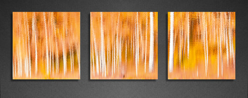 Aspen Reflections Triptych | Tony Newlin