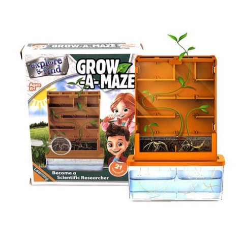 Grow a Maze | AceScientific