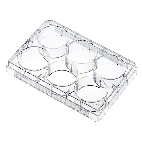 Well Plate, 6 Holes Flat | AceScientific
