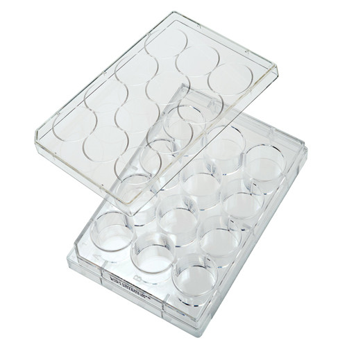 Well Plate, 12 Holes Flat | AceScientific