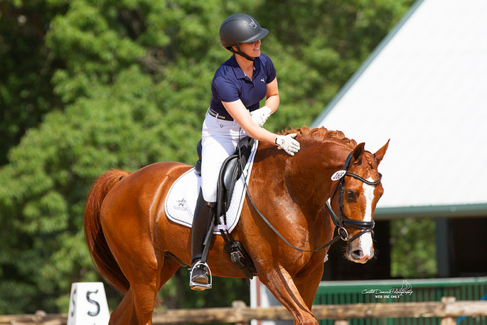 Katelyn Victoria Kok Dressage | Kansas City Dressage | Dressage Trainer