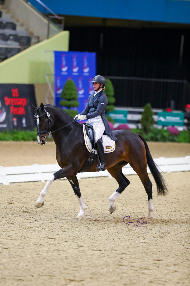 Kansas City Dressage | Katelyn Victoria Kok Dressage | Dressage Training