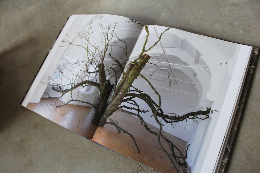 Anya Gallaccio - Artist Influence