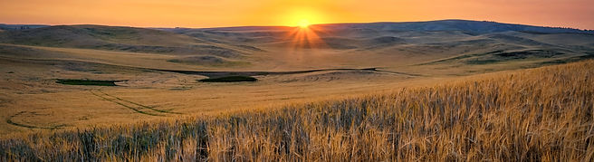 Meet Tim | Timothy Tax