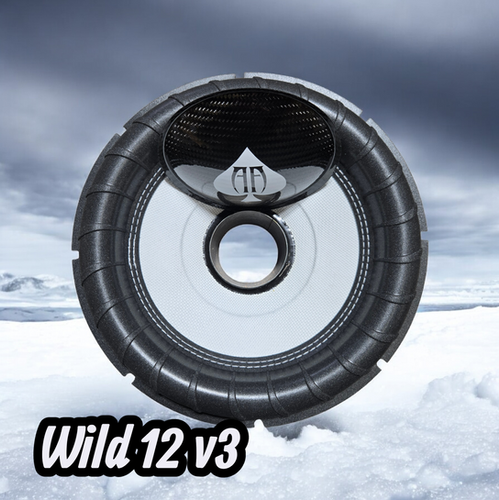 Audio Ace Wild 12 V3 Recone | Audio Ace