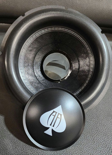 Audio Ace Joker 12v3 Recone D2 | Audio Ace