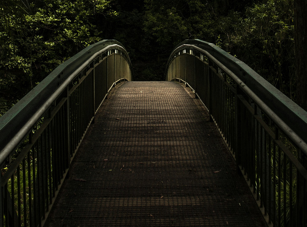 A Very Narrow Bridge
