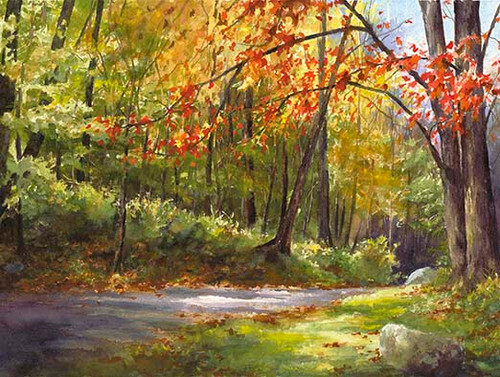 Tracy Webb Gallery Great Smoky Mountain Art Prints