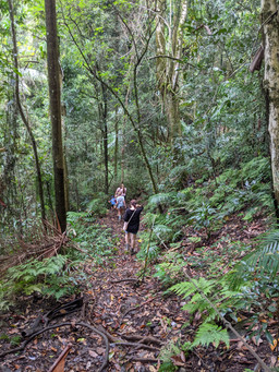 School Camp | Tyalgum Ridge Retreat | Tyalgum Creek