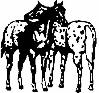 Sooner Pony of the Americas Club