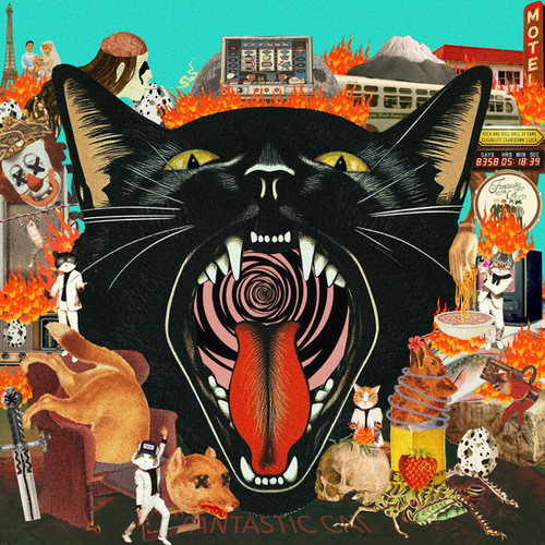 Vinyl - Cat Out Of Hell | Official Site