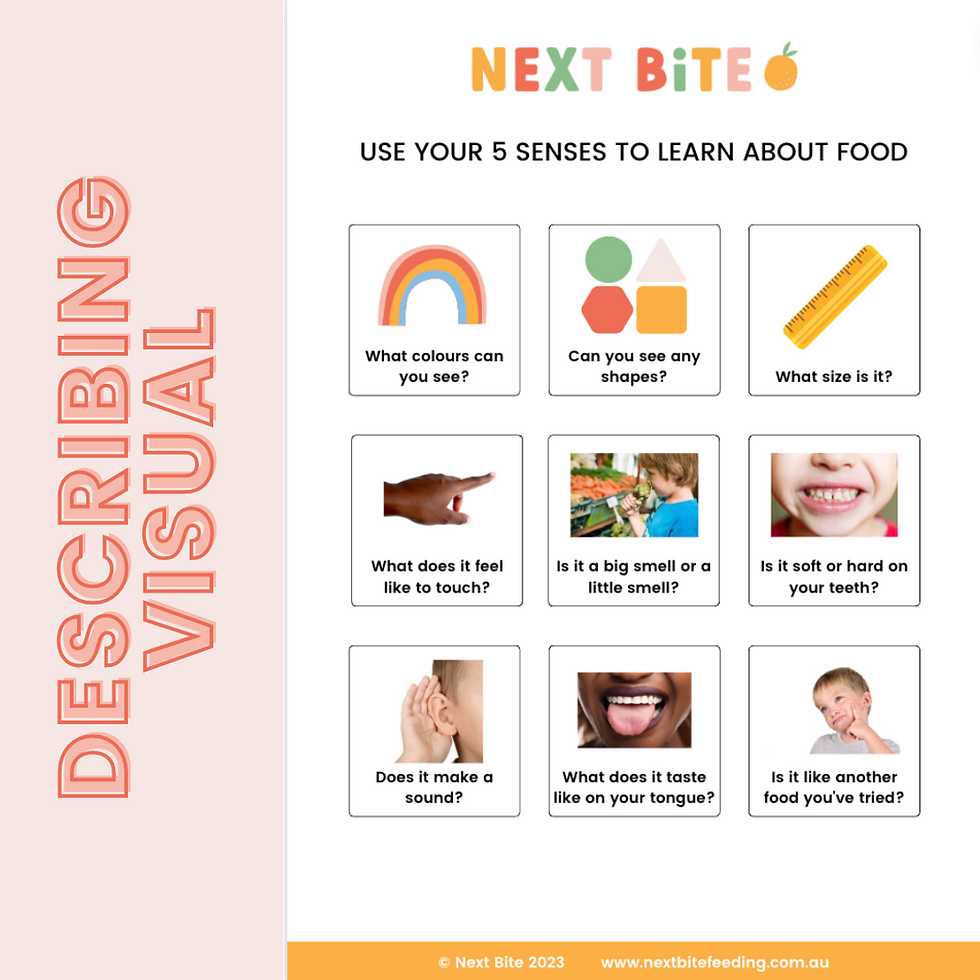 Describing Food Feeding Therapy Visual | Next Bite Feeding