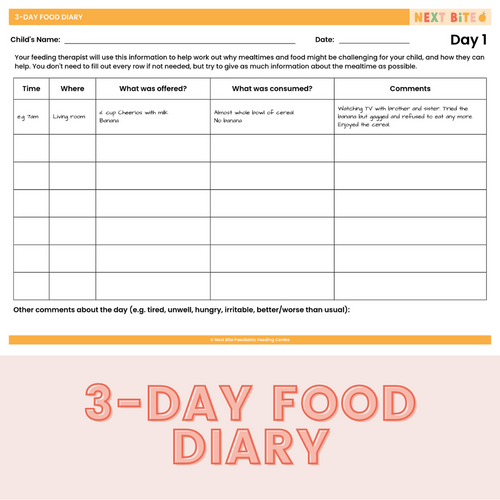 3-Day Food Diary Template | Next Bite Feeding
