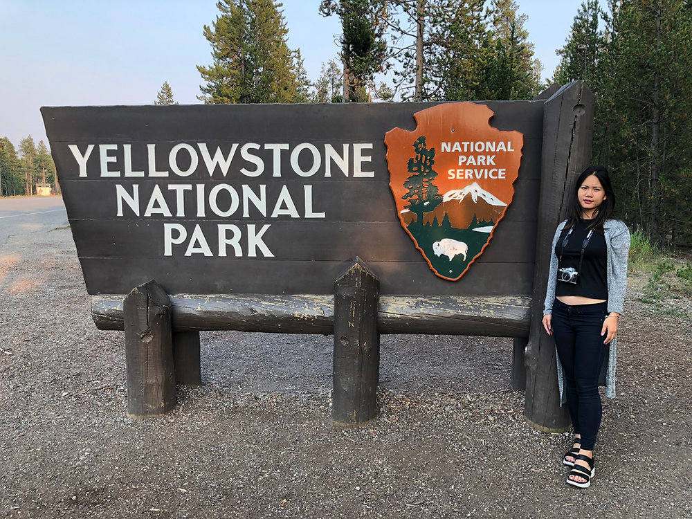 Yellowstone | Northern loop