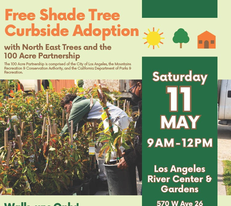 Free Shade Tree Curbside Adoption with North East Trees and the 100 ...