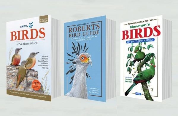 The Ultimate Southern African Birding Resource Guide