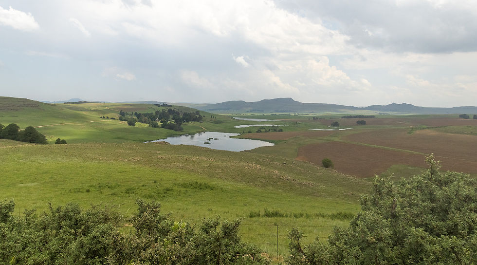 Uncovering the Wonders of Underberg: Exploring Birding Beyond Just Birds