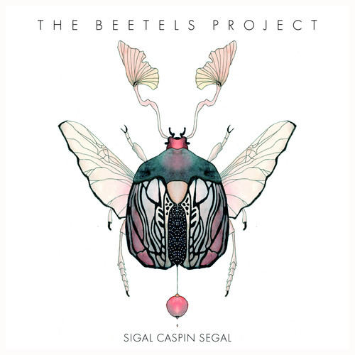 The BEETLES PROJECT | Sigal Caspin Segal