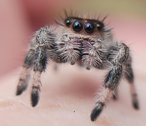 Briegh SALE 30% OFF | Cutesy Spoods