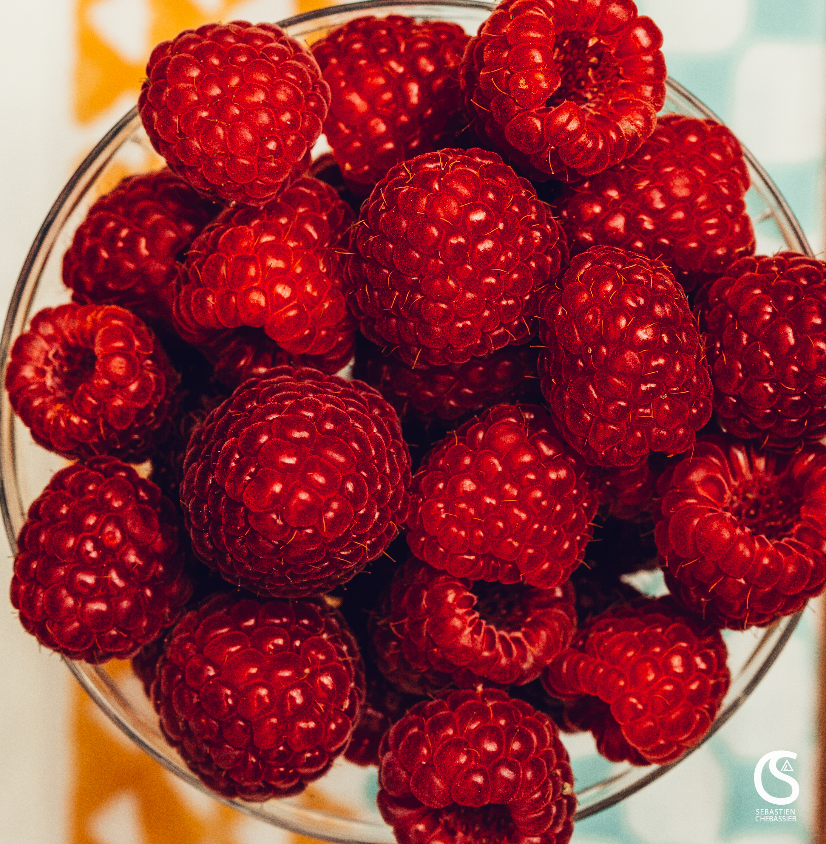 ACCUEIL | sugarlemon