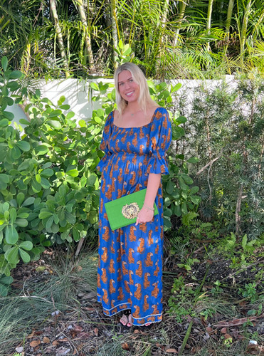 *SALE* Penelope Dress | Tigers | Blue | Snappy Turtle