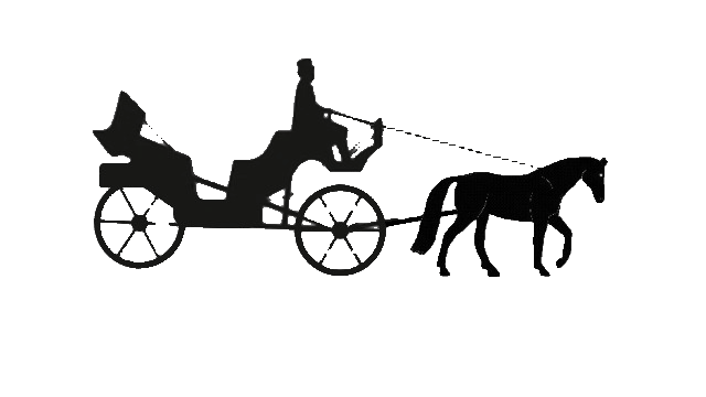 Pelham Bit Carriage Company | Horse carriage rides | Bronx, NY, USA