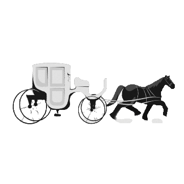 Pelham Bit Carriage Company | Hay rides | Bronx, NY, USA