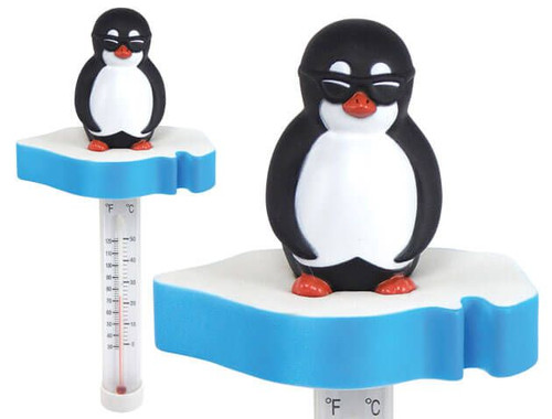 Chillin Charlie Thermometer | Water Care Online