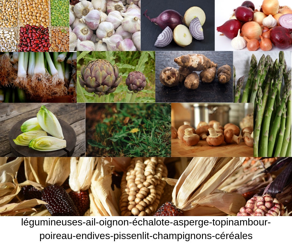 Les pré et probiotiques