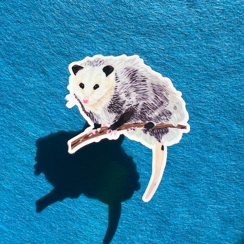 Opossum Sticker | Srimoyee Handmade